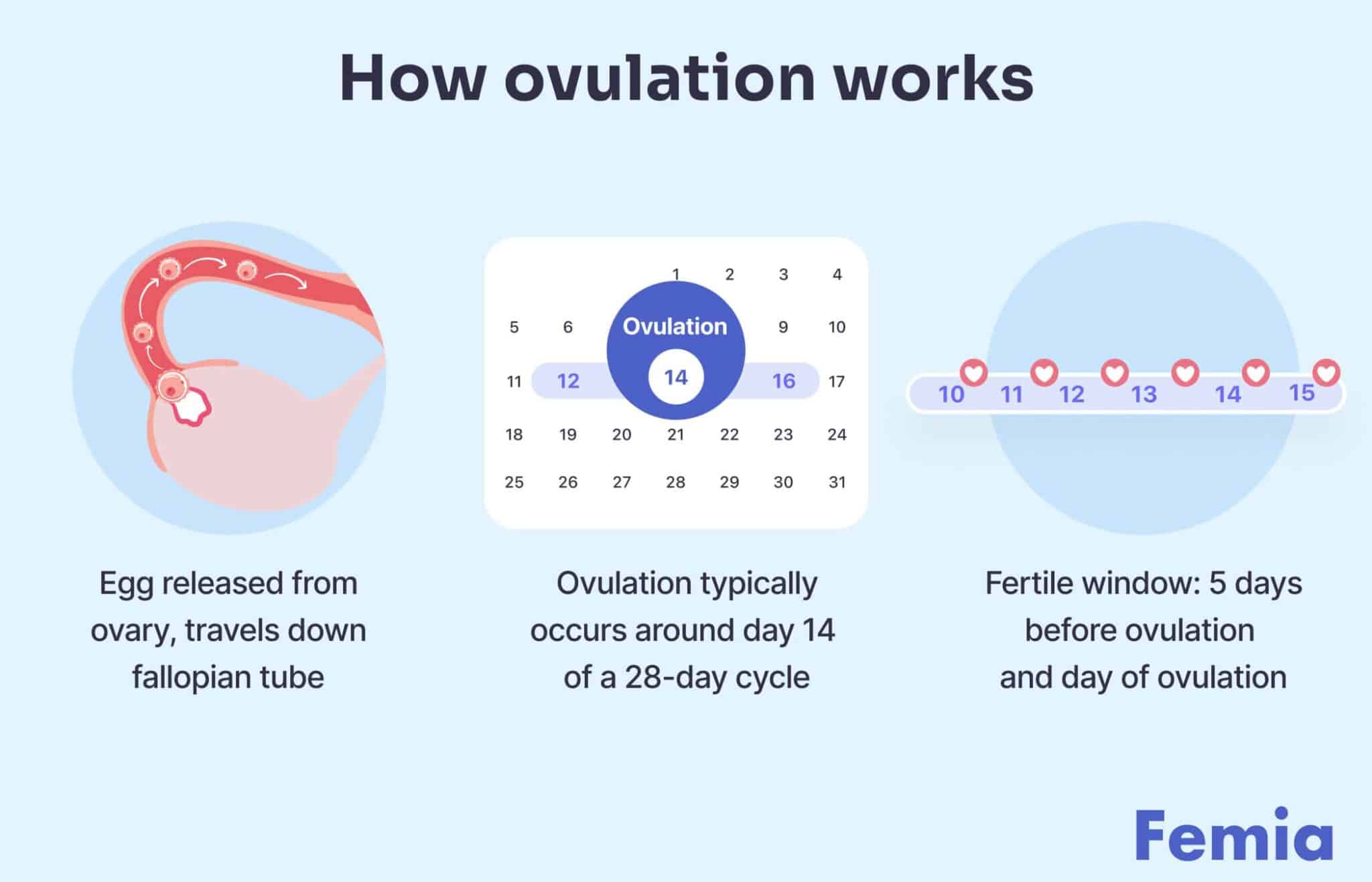 Can you get pregnant when you're not ovulating? - Femia Health
