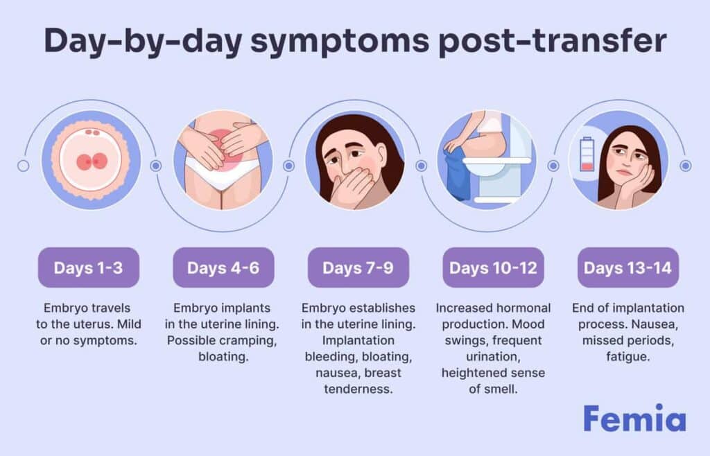 How Soon Can Implantation Bleeding Occur After Embryo Transfer
