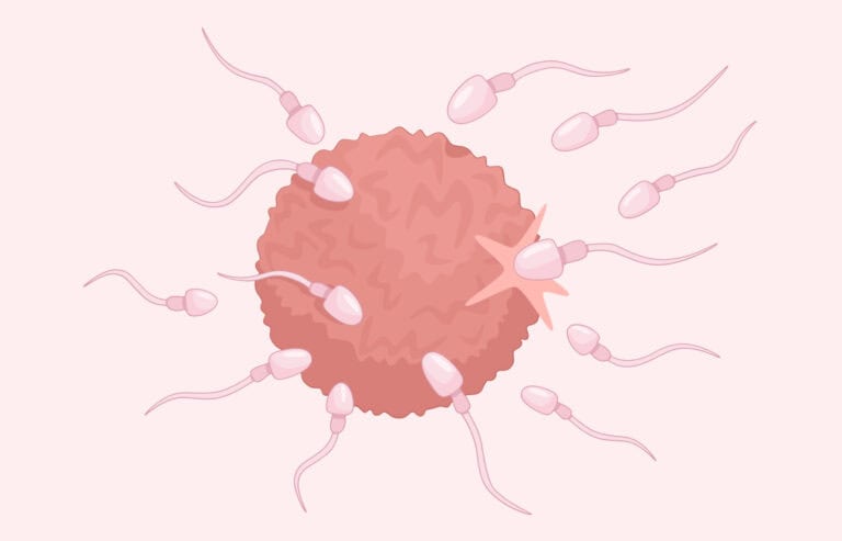 7 Weeks Pregnant: Major Milestones, Real Life Fetus Size, and Symptoms ...