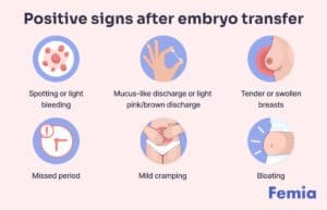 Positive signs after embryo transfer - Femia Health