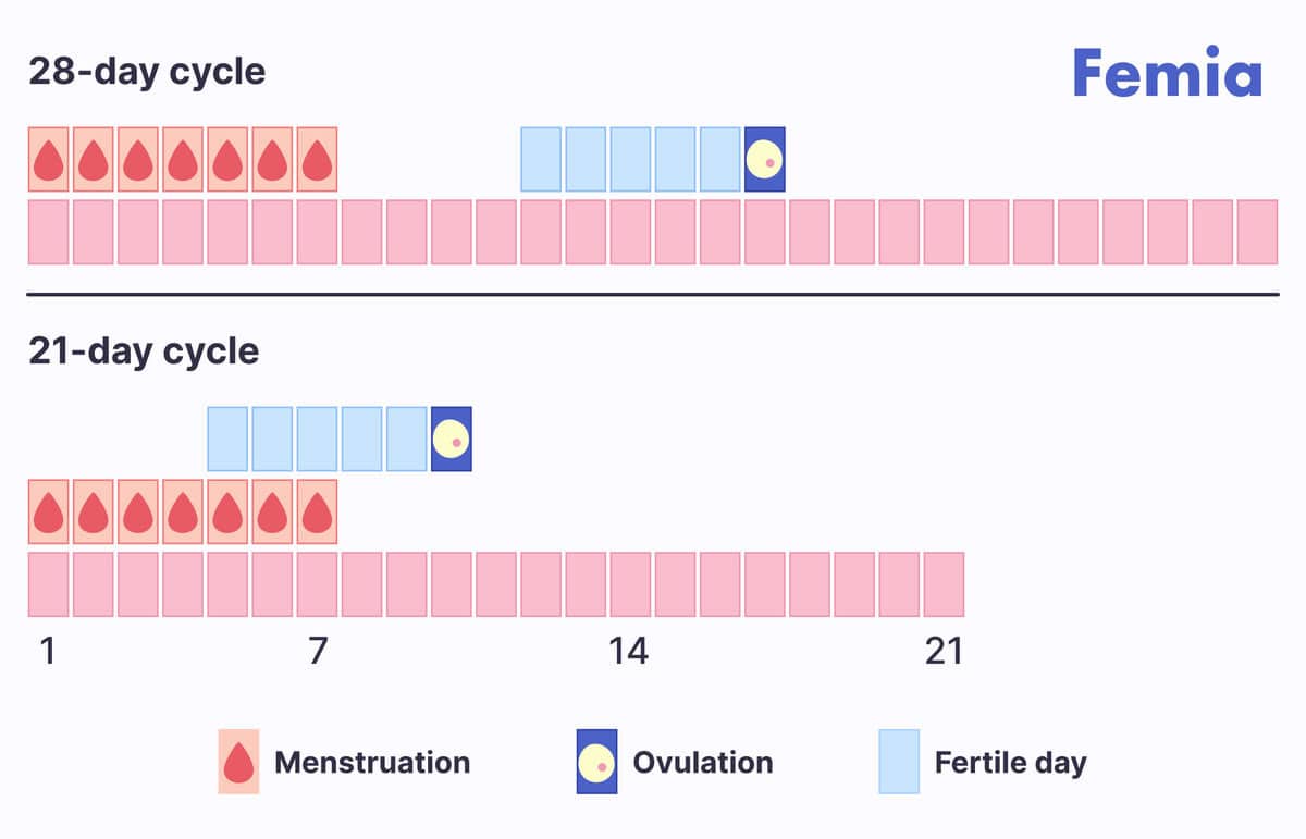 Can you get pregnant after your period? Understanding your fertility window - Femia Health