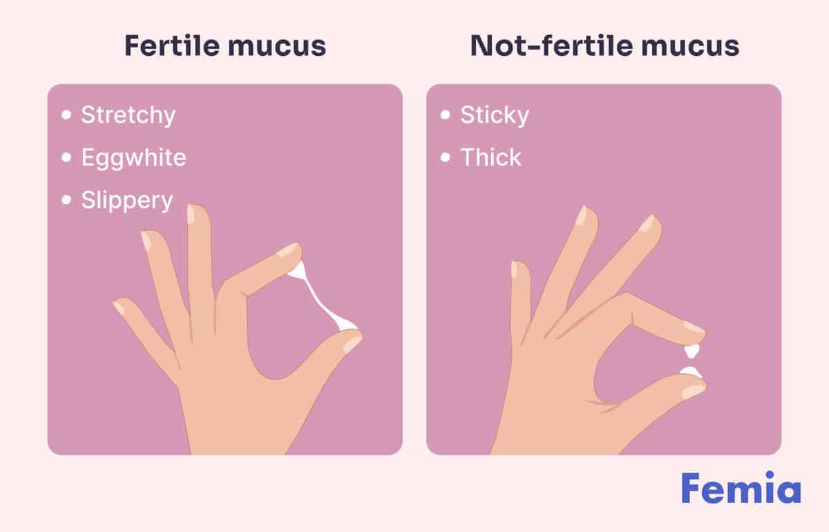 Signs of ovulation after giving birth: What new moms need to know ...
