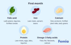 First trimester pregnancy diet: 1 to 3-month pregnancy diet chart and ...