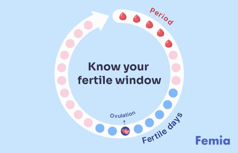 Can you get pregnant after your period? Understanding your fertility ...
