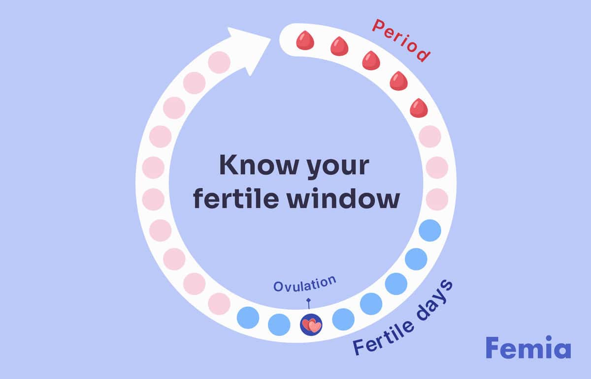 How to recognize signs of high fertility in a woman: A detailed guide ...