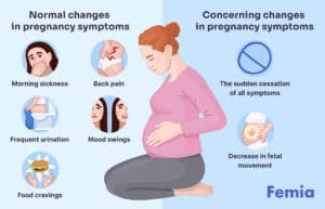 Is it normal to not feel pregnant? Understanding early pregnancy and ...