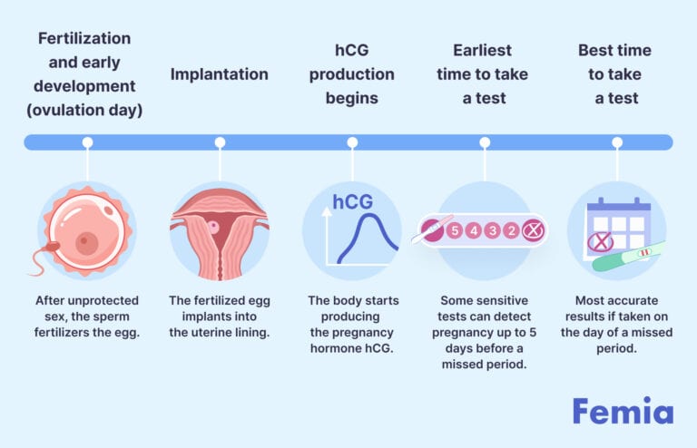 How Long After Sex Does Implantation Occur Understanding The Timeline