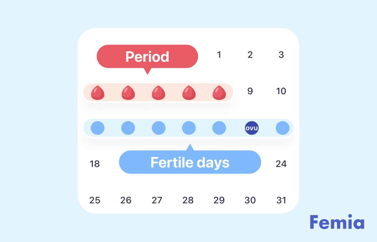 Ultimate pre-pregnancy checklist: Essential steps to take before having ...