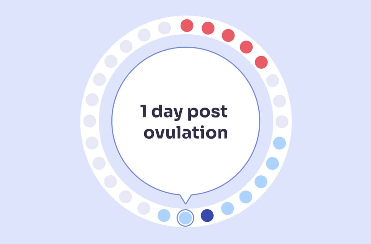 What to Expect at 1 Day Past Ovulation and Early Signs | Femia