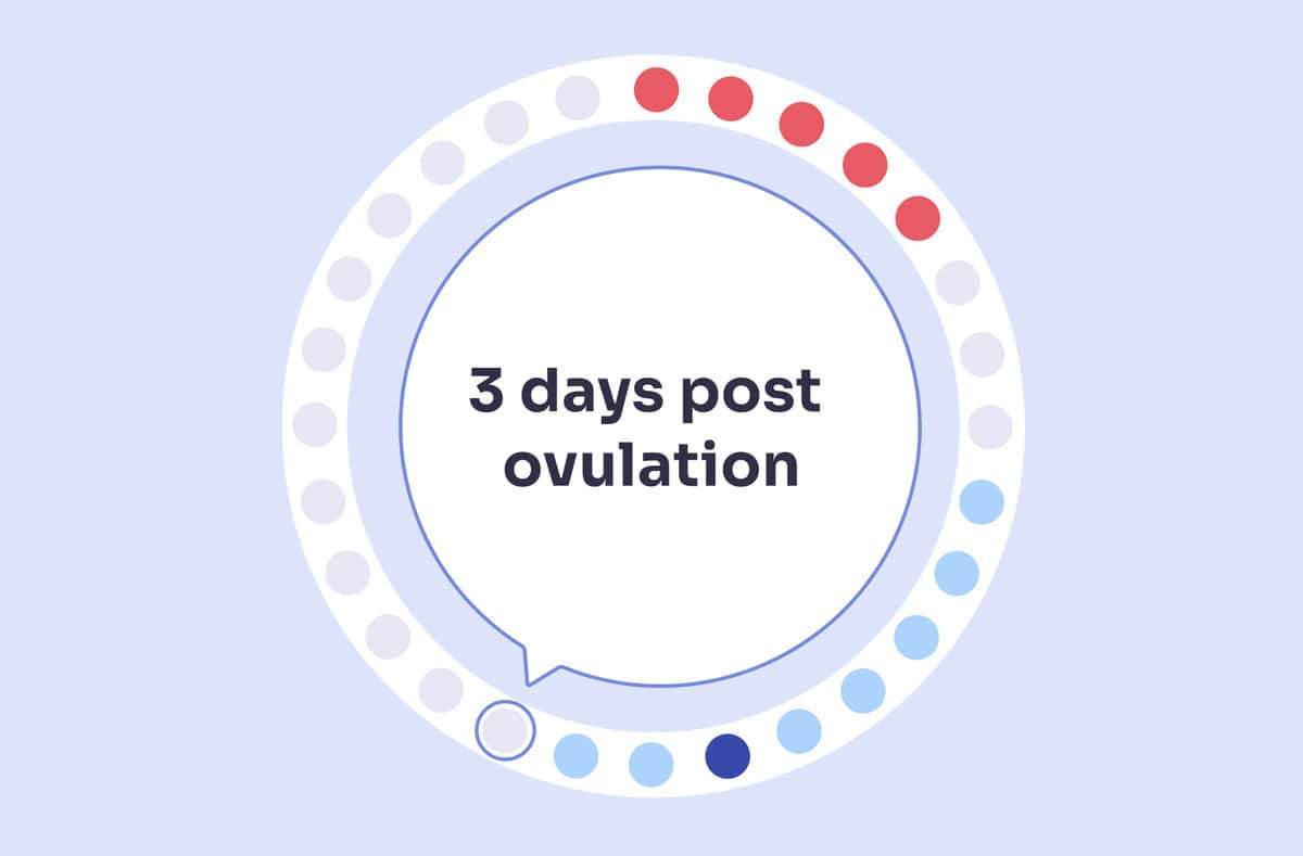 What to Expect at 3 Day Past Ovulation and Early Signs | Femia