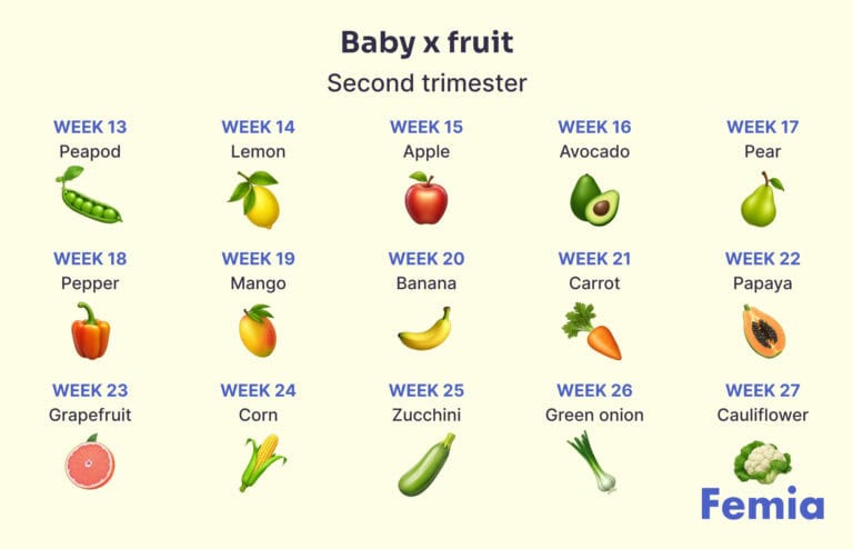 Baby fruit size by week: A trimester-by-trimester guide to your growing little one - Femia Health