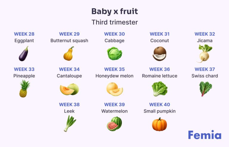 Baby fruit size by week: A trimester-by-trimester guide to your growing ...