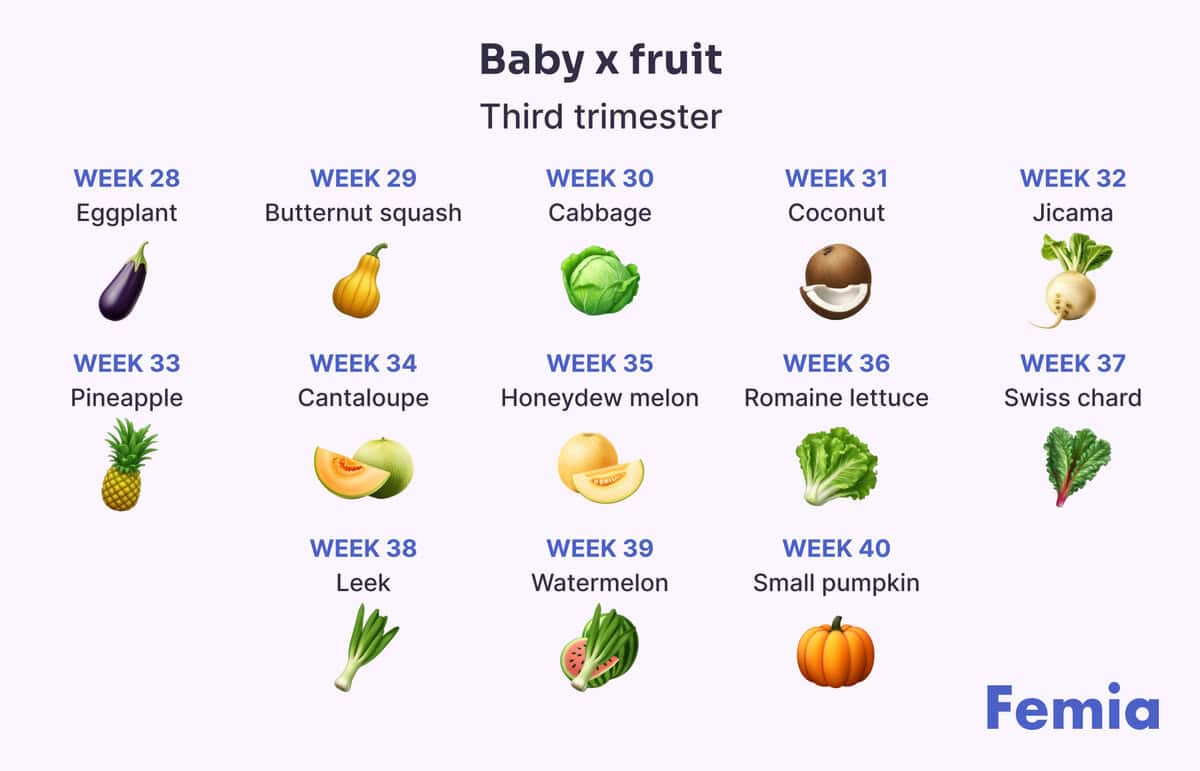 Baby fruit size by week: A trimester-by-trimester guide to your growing ...