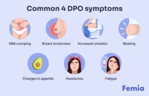 What to Expect at 4 Days Past Ovulation and Early Signs | Femia