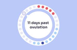11 DPO: What to Expect at 11 Days Past Ovulation and Early Signs | Femia