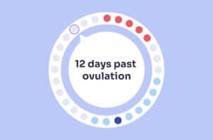 12 DPO: What to Expect at 12 Days Past Ovulation and Early Signs | Femia