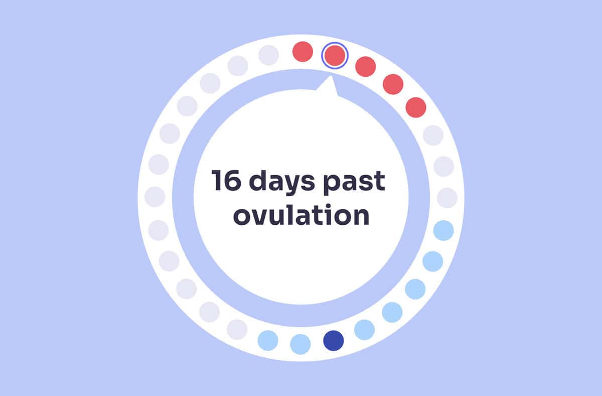 16 DPO: What to Expect at 16 Days Past Ovulation and Early Signs | Femia