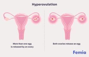 You Can Ovulate Twice in a Month. Symptoms & Causes | Femia