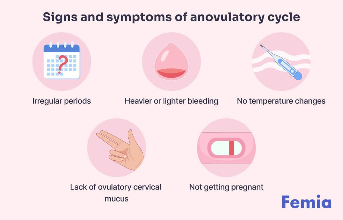 Why Am I Not Ovulating but Still Having Periods? Causes, Sign ...