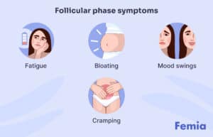 Understanding the Follicular Phase: Symptoms, Diet, and Health Tips - Femia