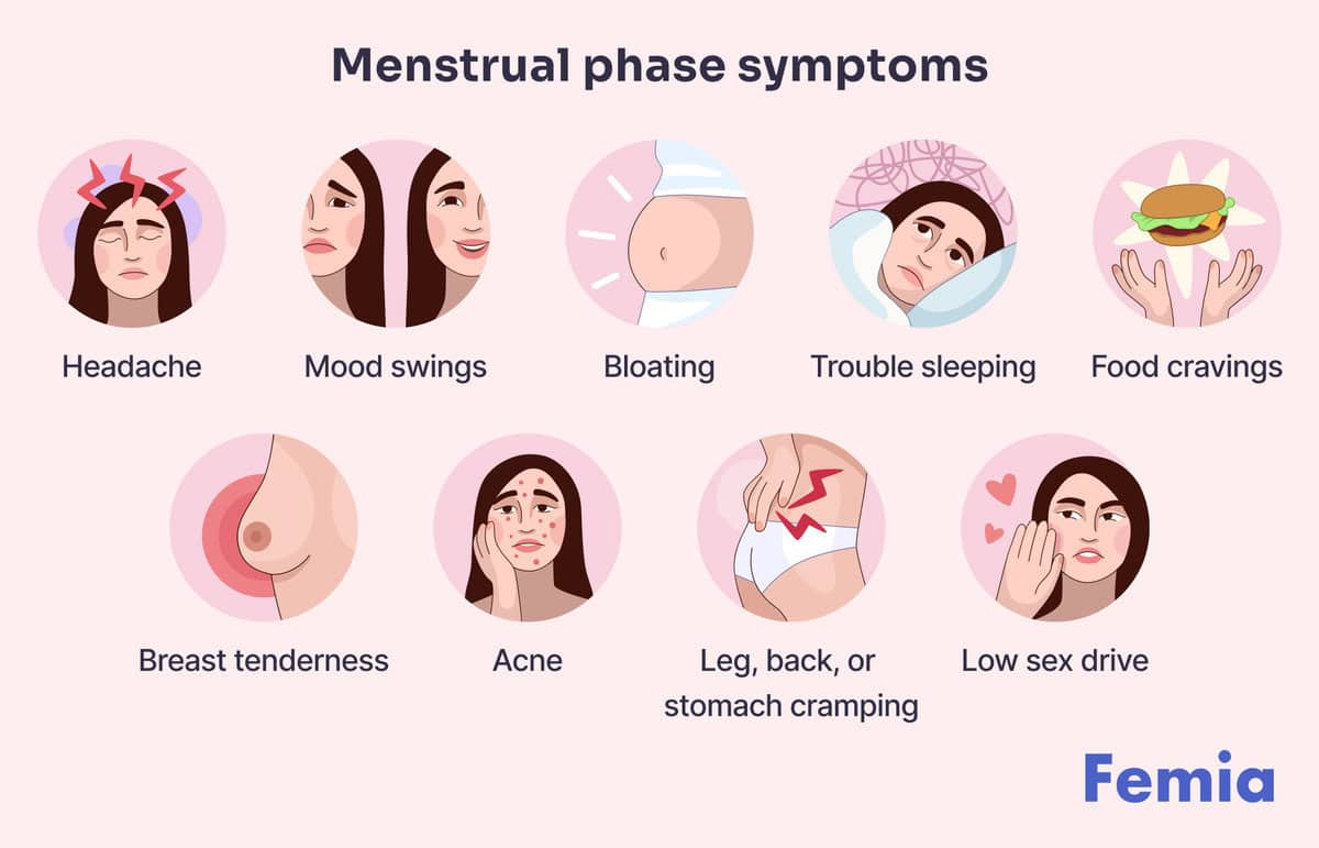 Understanding the Menstrual Phase: Everything You Need to Know - Femia