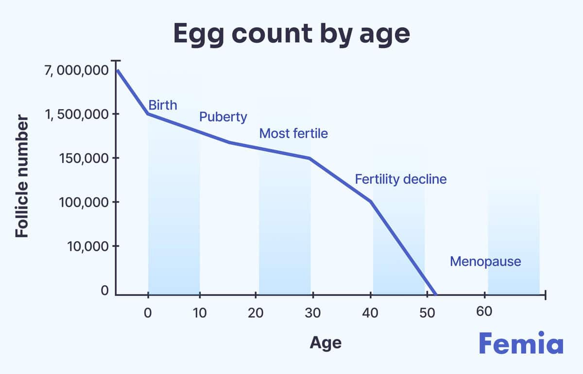 How many eggs does a woman have? A complete guide - Femia
