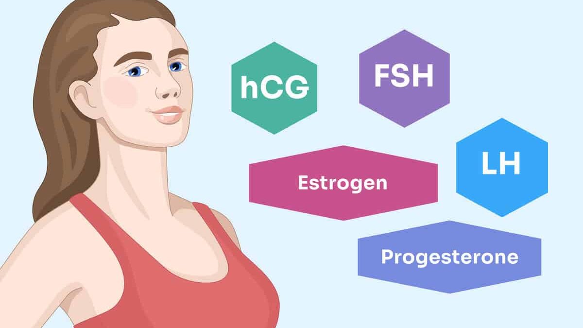 Infertility And Hormones In Women Chrono Nutrition And It's Effect On