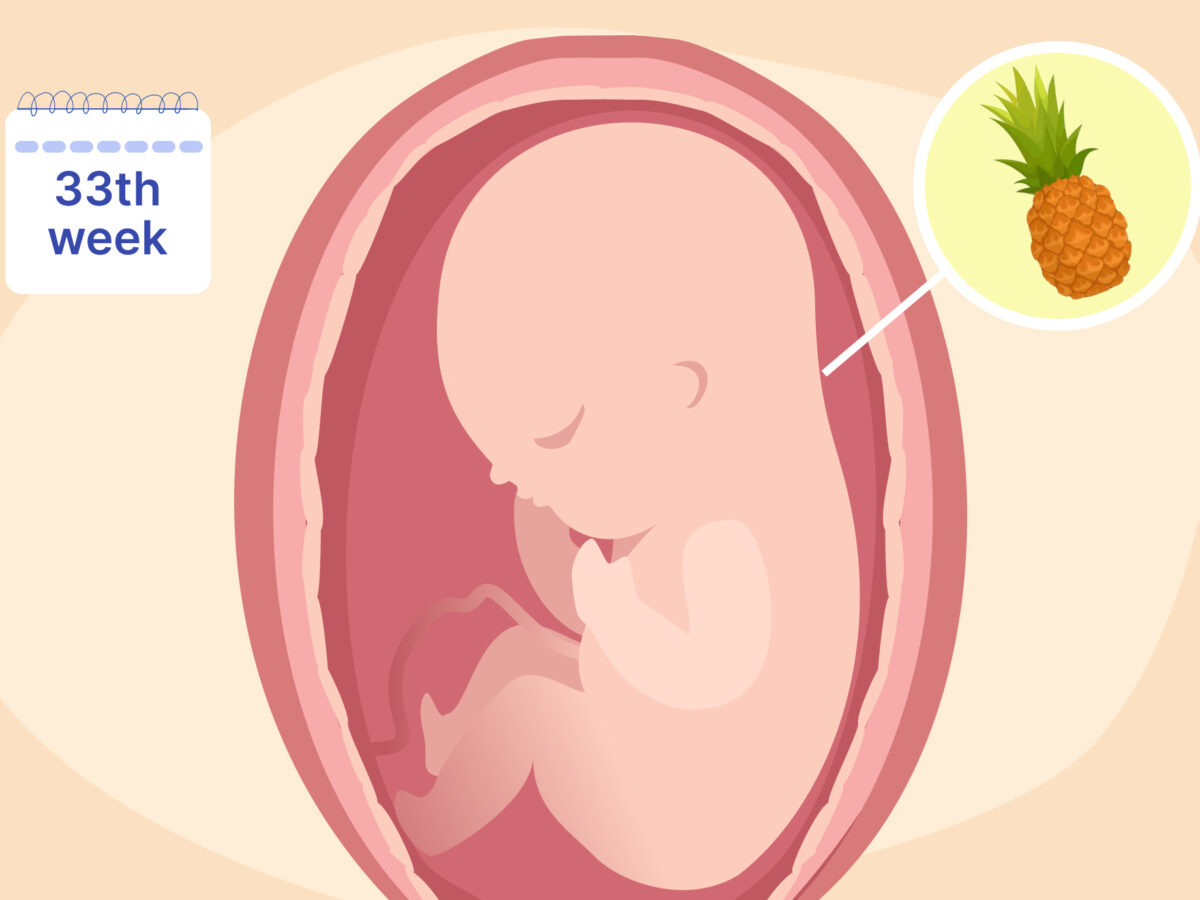 33 Weeks Pregnant Uterus Third Trimester Ultrasound Pictures
